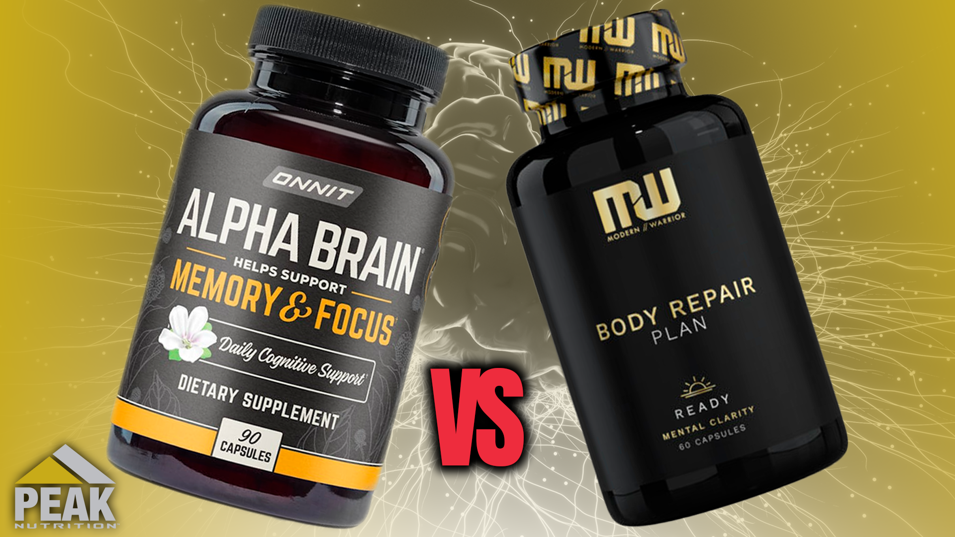 Alpha Brain Vs Ready: Which is better? – Peak Nutrition